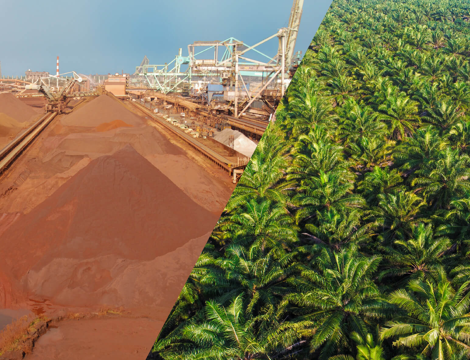 Business Overview | SHINSHO CORPORATION