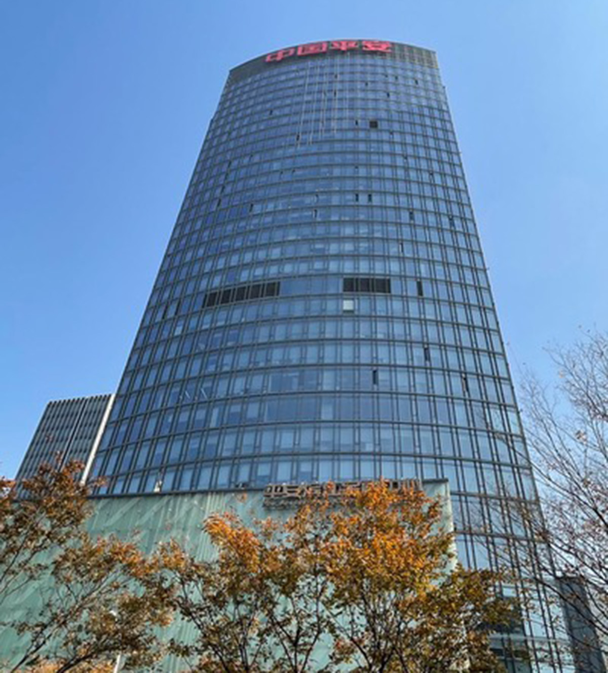 Corporate History | Corporate Information | SHINSHO CORPORATION